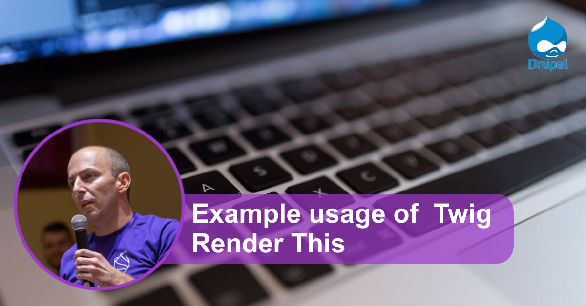 Example Usage Of Twig Render This